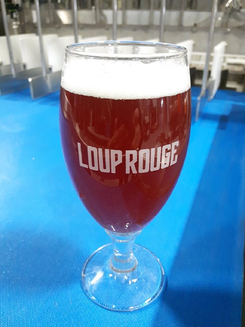 Ça pousse chez nous - La bière du Loup Rouge (25 juillet 2018) - CJSO