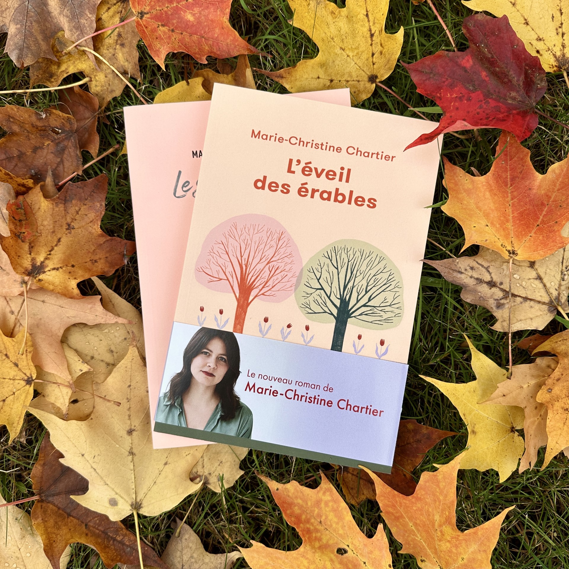 Marie Christine Chartier - L’éveil des érables - CJSO